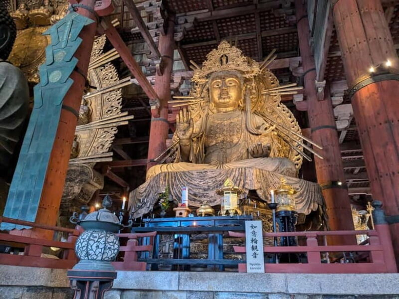 Nara: UNESCO Heritage Sites & Deer Park Tour with Pro guide - An Introduction to Nara’s Highlights