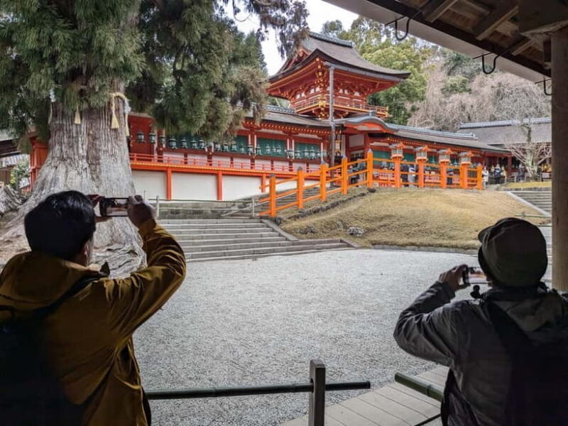 Nara: UNESCO Heritage Sites & Deer Park Tour with Pro guide - Who Will Love This Tour?