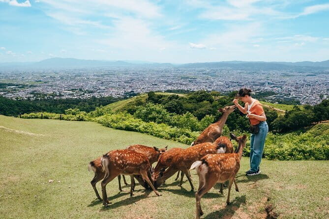 Nara UNESCO World Heritage Sites Slow Cycling Tour - Why This Tour Works Well