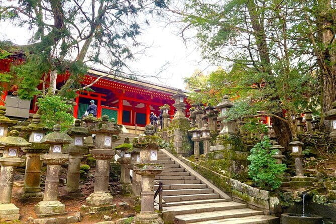 Nara UNESCO World Heritage Sites Slow Cycling Tour - Our Final Take