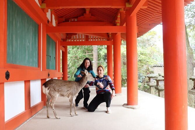 Nara UNESCO World Heritage Sites Slow Cycling Tour - FAQ