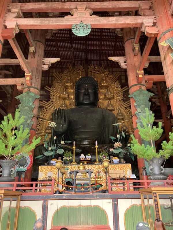 Nara Walking Tour for Small Groups: Temples and Deer - The Sum Up