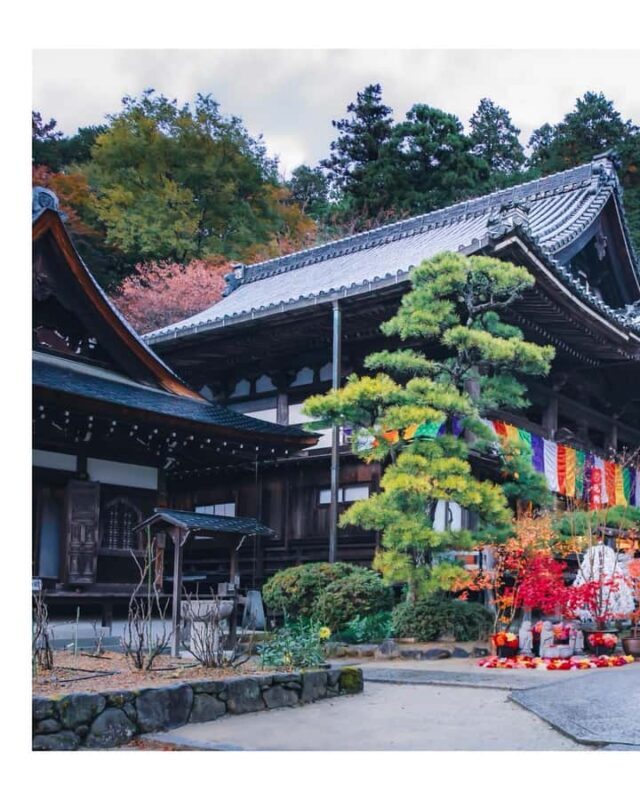 Nara: Walking Tour with History, and spiritual stories - Discovering Nara’s Rich Heritage