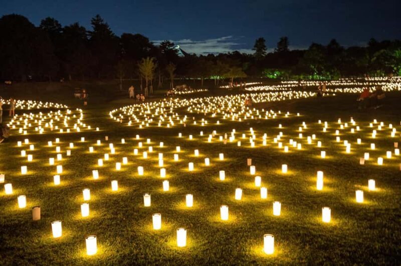 Nara: Walking Tour with History, and spiritual stories - Final Thoughts