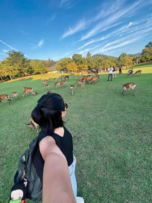 Nara: Walking Tour with History, and spiritual stories - FAQ