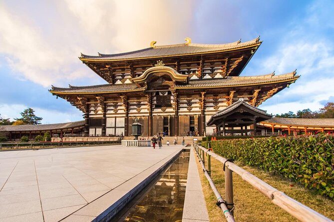 Nara World Heritage PRIVATE TOUR - An In-Depth Look at the Tour Experience
