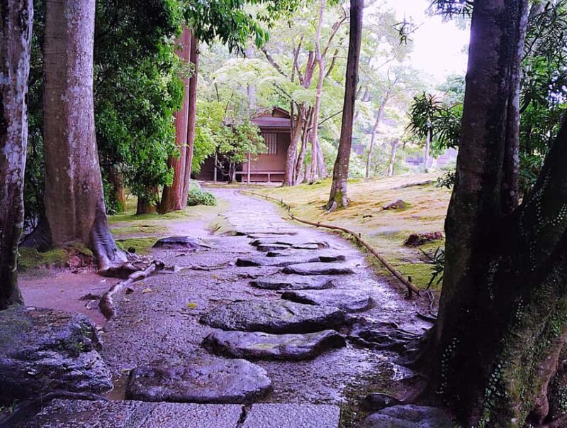 Nara: Yoshikien and Isuien Gardens Tour with Tea Tasting - Why It’s Worth Your While