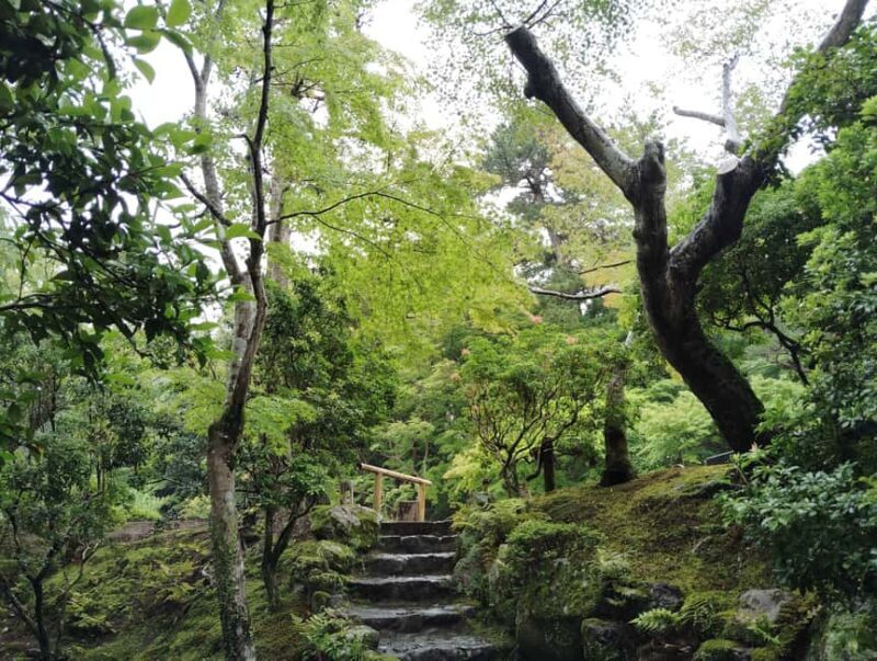 Nara: Yoshikien and Isuien Gardens Tour with Tea Tasting - Final Thoughts