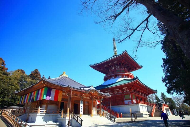Narita: Shinshoji Temple Highlights Walk & Peace Pagoda - Practical Details and Value