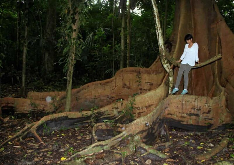 Nariva Swamp: Monkey Viewing Experience - Key Points