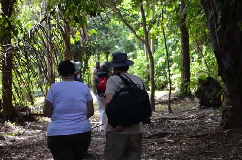 Nariva Swamp: Monkey Viewing Experience - Exploring Nariva Swamp: A Natural Treasure