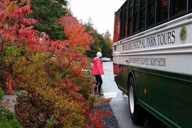 Narrated Bus Tour of Bar Harbor and Acadia National Park - Detailed Tour Breakdown