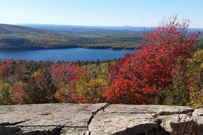 Narrated Bus Tour of Bar Harbor and Acadia National Park - Authentic Traveler Feedback