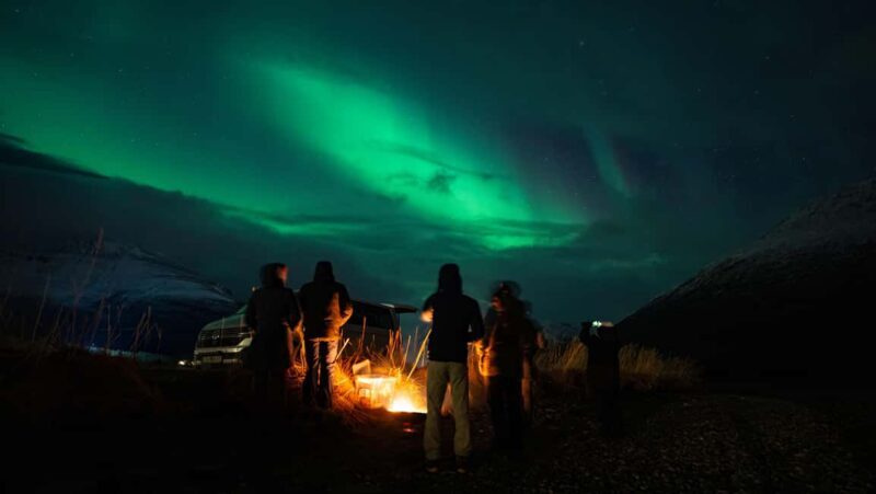Narvik: Guided Northern Lights Tour with Photography Tips - Key Points