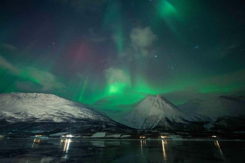 Narvik: Guided Northern Lights Tour with Photography Tips - What to Expect on the Tour
