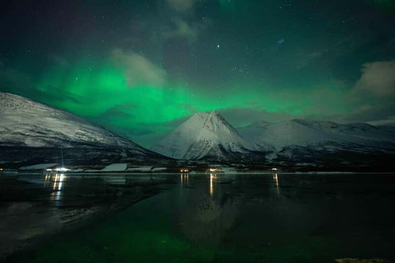 Narvik: Northern Lights Guided Tour with Photography Tips - Key Points