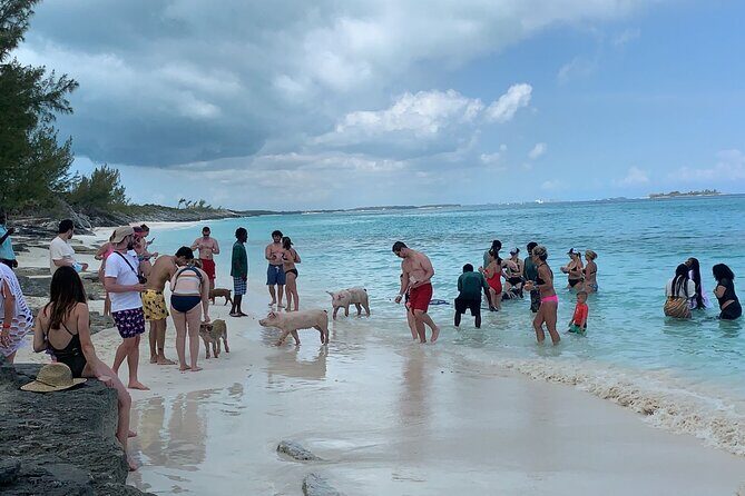 Nas: 3 islands Tour ,snorkel, Turtles, pigs and lunch - The Sum Up