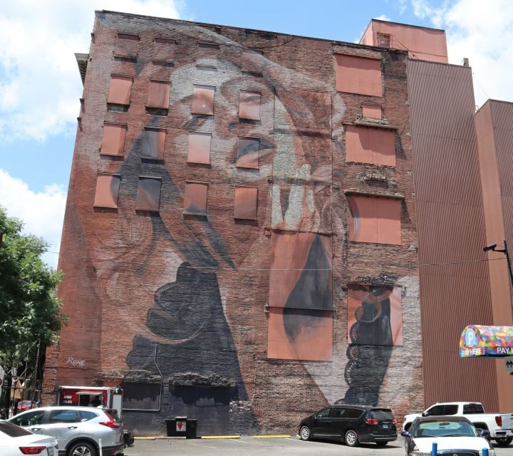 Nashville: Downtown Walking Tour - Who Should Consider This Tour?