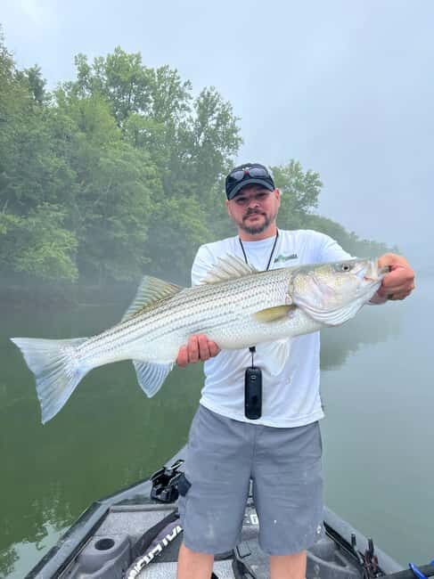 Nashville: Hybrid and Striped Bass Fishing Trip - Key Points