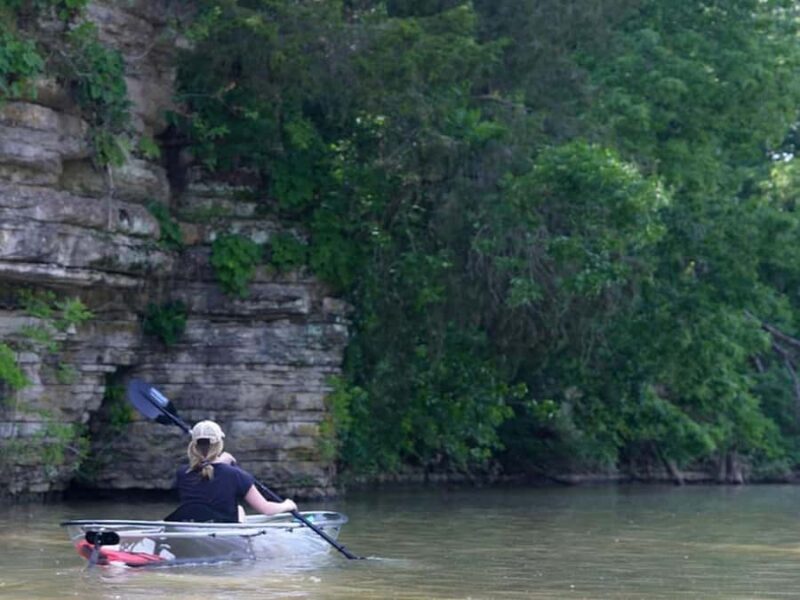 Nashville: Old Hickory Lake Clear Kayak Wildlife Tour - A Fresh Way to Experience Nashvilles Outdoors