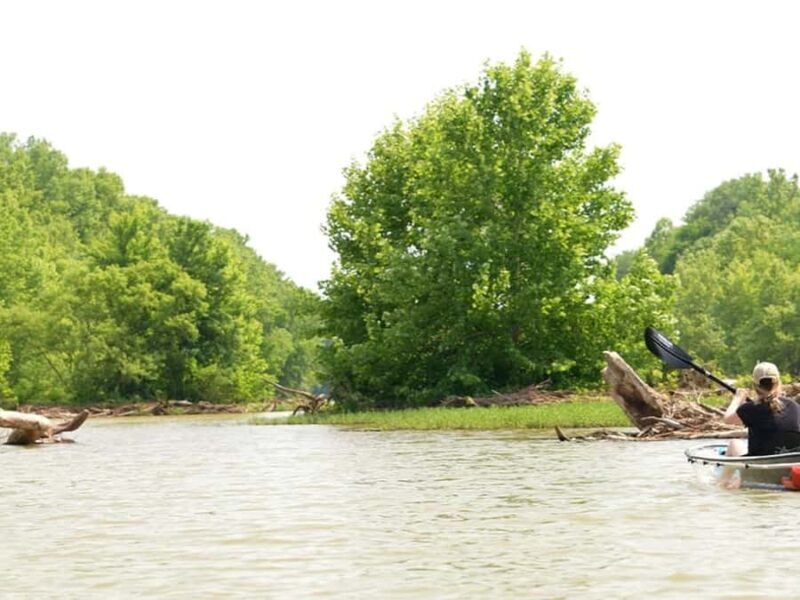 Nashville: Old Hickory Lake Clear Kayak Wildlife Tour - Wildlife Encounters and Scenic Views