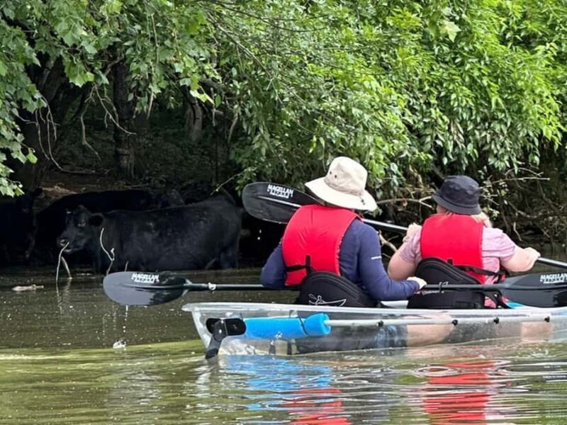 Nashville: Old Hickory Lake Clear Kayak Wildlife Tour - FAQ