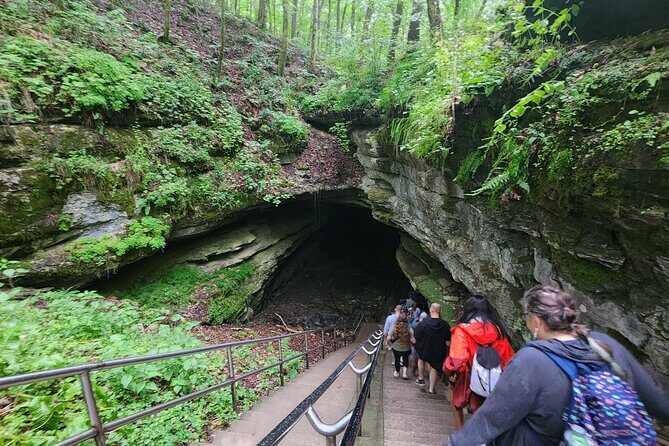Nashville to Kentucky Caves & Kangaroos: A Day of Enchantment - FAQs