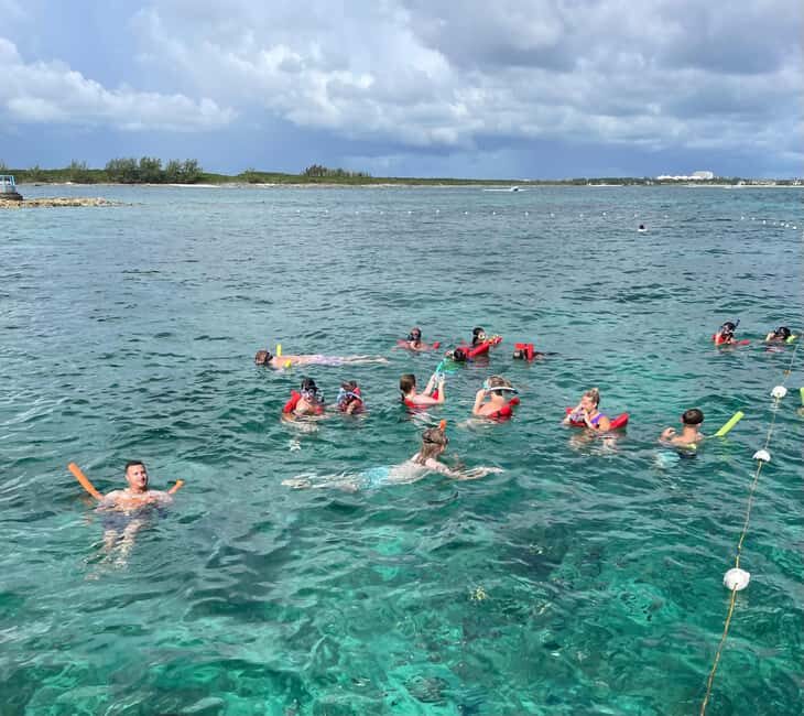 Nassau: 3 Islands Boat w/ Swimming Pigs, Snorkeling & Turtle - Who Should Consider This Tour?