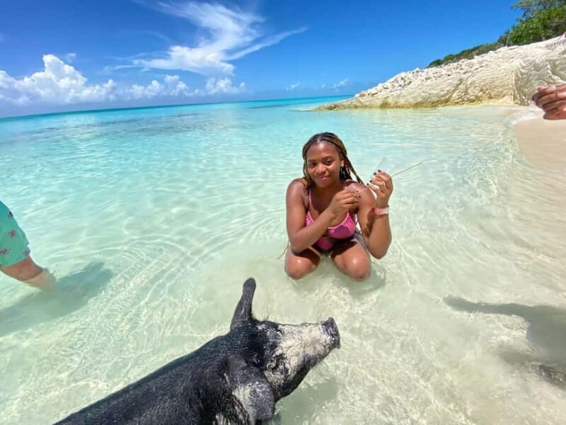 Nassau: 3 Islands Tour, Snorkel, Pig Beach, Turtles & Lunch - A Practical Guide to the Nassau Islands Tour