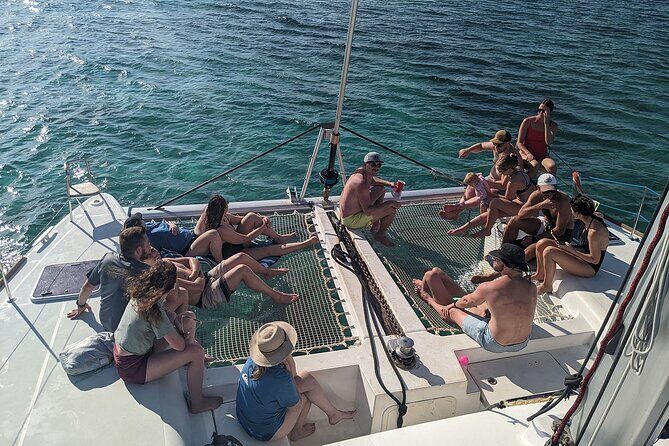 Nassau 3-stops: Snorkeling, Swimming Pigs, Turtles & Lunch - What the Reviews Say