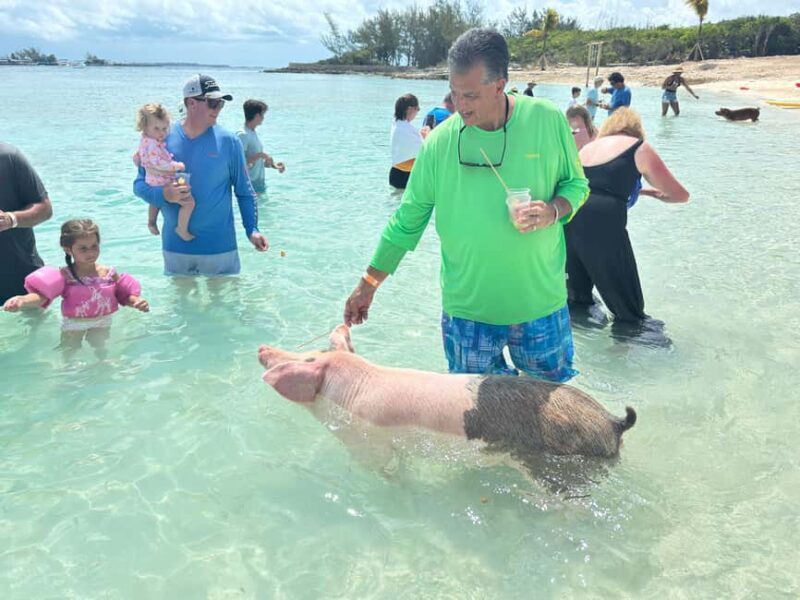 Nassau: 4-Island Tour Swimming Pigs, turtles, snorkeling - Key Points