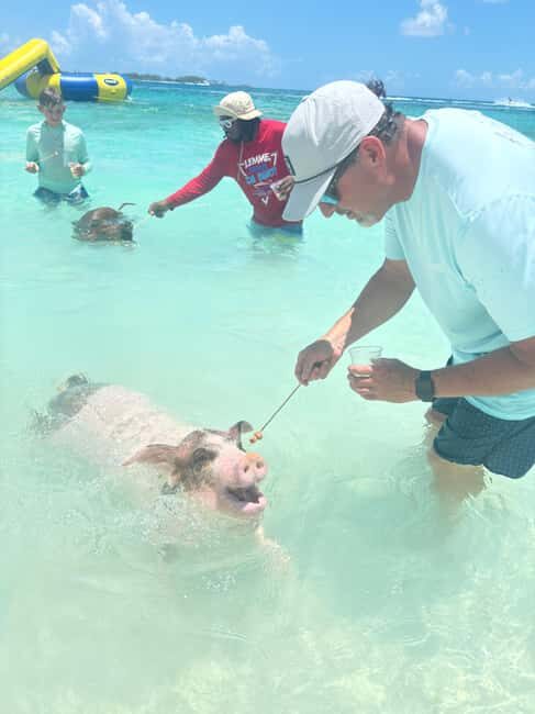 Nassau: 4-Island Tour Swimming Pigs, turtles, snorkeling - The Sum Up