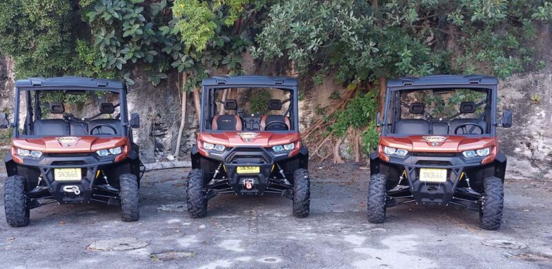 Nassau: 6-Seater Beach Buggy Rental - The Practicalities: What You Need to Know