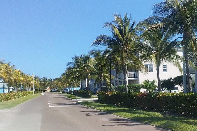 Nassau Airport to Palm Cay - group transportation in comfort - A Closer Look at the Experience