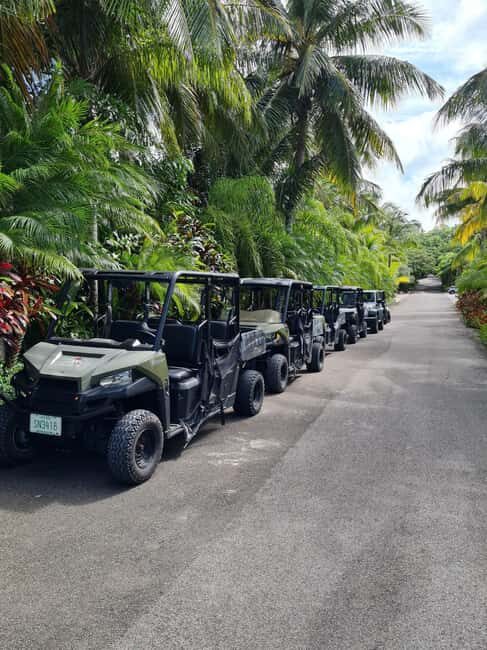 Nassau: ATV or Buggy Island Tour - Who Might Want to Consider Alternatives?
