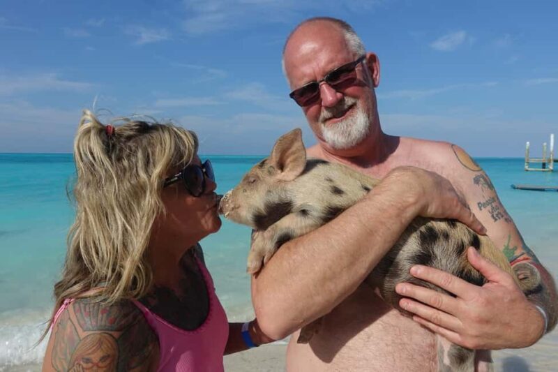 Nassau ATV & Swimming Pigs Tour - Key Points