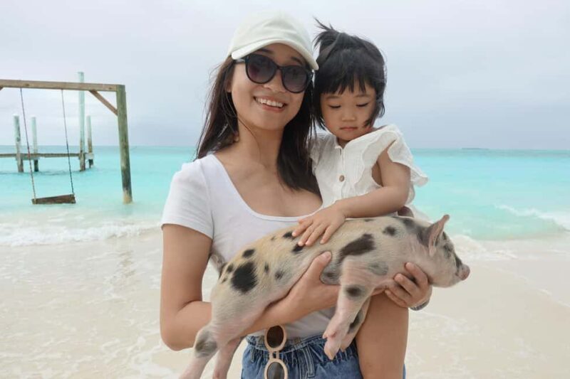 Nassau ATV & Swimming Pigs Tour - What to Expect: A Step-by-Step Breakdown