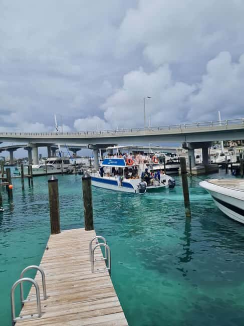 Nassau ATV & Swimming Pigs Tour - Final Words