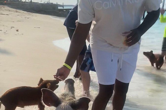 Nassau Bahamas Jetcar Excursion to Pig Island - Who this Tour Is Best For