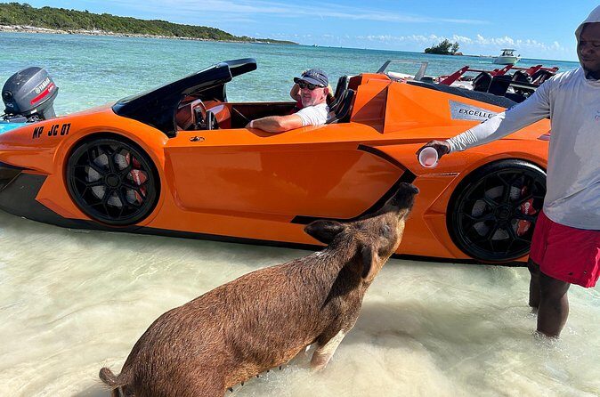 Nassau Bahamas Jetcar Excursion to Pig Island - The Sum Up