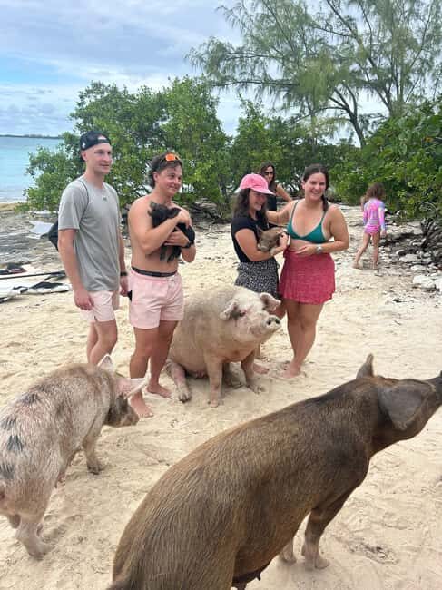 Nassau Bahamas: Jetcar Excursion to Pig Island Tour - Key Points