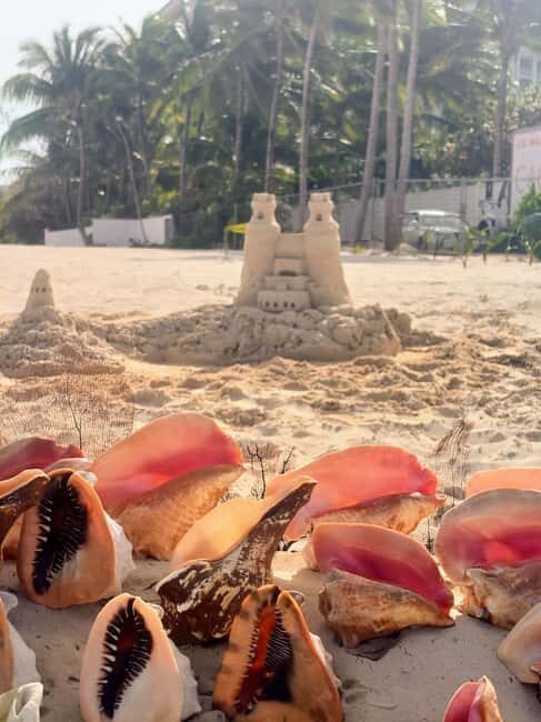 Nassau Bahamas: Sandcastle Sculpting Beach Activity & Picnic - Key Points