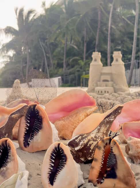 Nassau Bahamas: Sandcastle Sculpting Beach Activity & Picnic - Is This Tour Right for You?