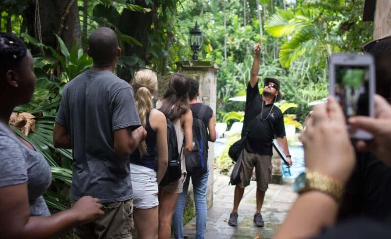 Nassau: Bites and Sites Food and Cultural Walking Tour - The Guides & Experience