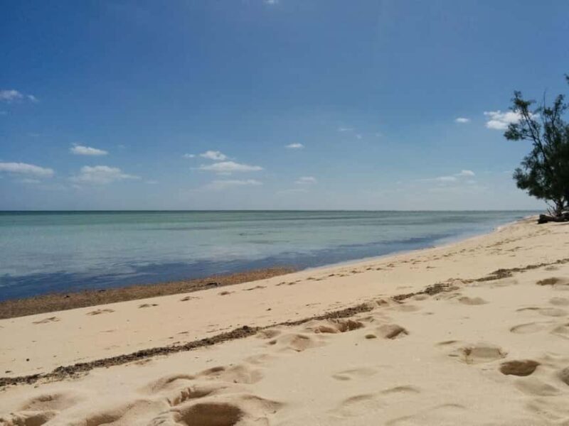 Nassau Bucket List: Private Full-Day Exploration Tour - Why This Tour Works for Different Travelers