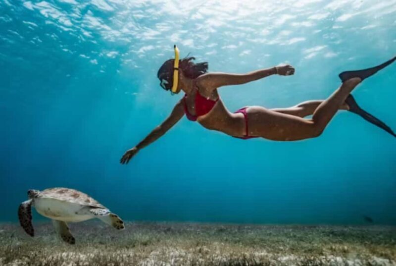 Nassau: Catamaran Sail and Snorkel Tour - FAQ