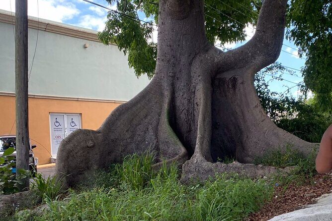 Nassau City Escape Transfer (One Way) - Cost-Effectiveness and Value