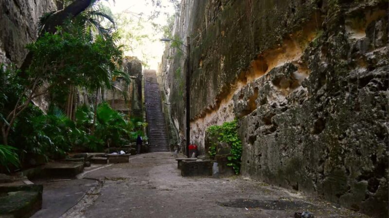 Nassau City Tour: Discover the Charms of Old Charles Town - FAQ