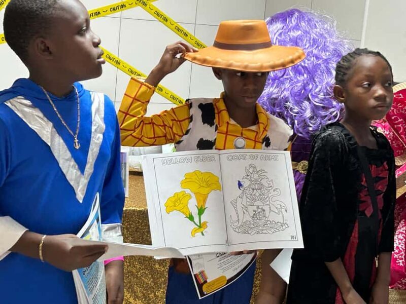 Nassau: Coloring Experience and Slave Village History Tour - An Authentic, Colorful Look at Nassau’s Heritage