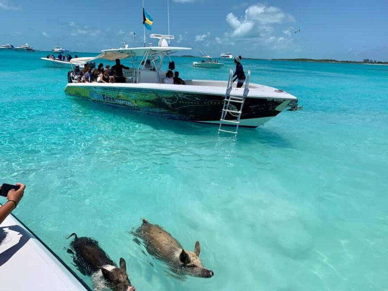 Nassau: Discover Exuma Island Hopping and Swimming Pigs Tour - Key Points